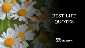Best Life Quotes that Will Make your Day Go Wonderful - The QuotePedia