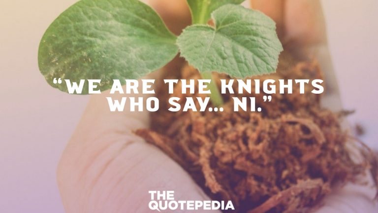 60+ Best Monty Python And Holy Grail Quotes Which Will Hurt Your ...
