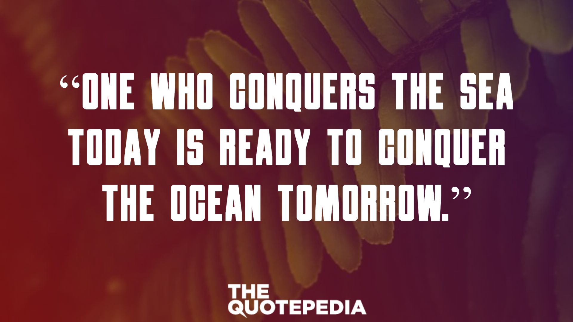 75+ Inspirational Quotes About Life And Struggle For Success - The ...
