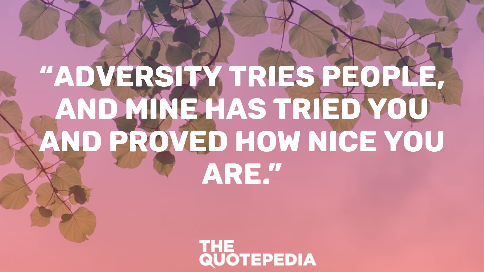 70+ The Little Princess Quotes To Bee Bold And Courageous - The QuotePedia