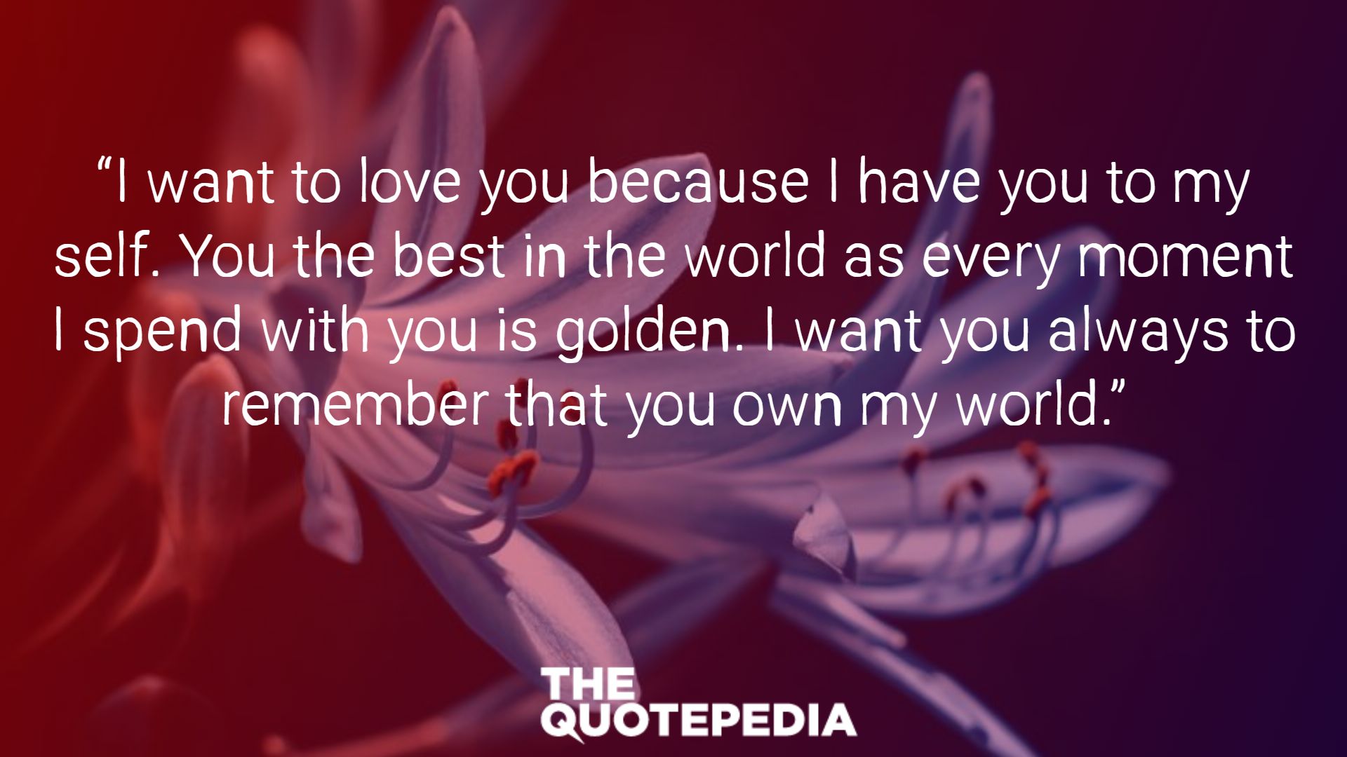 70+ I Want You Quotes To Show How Much You Need Your Special One - The ...