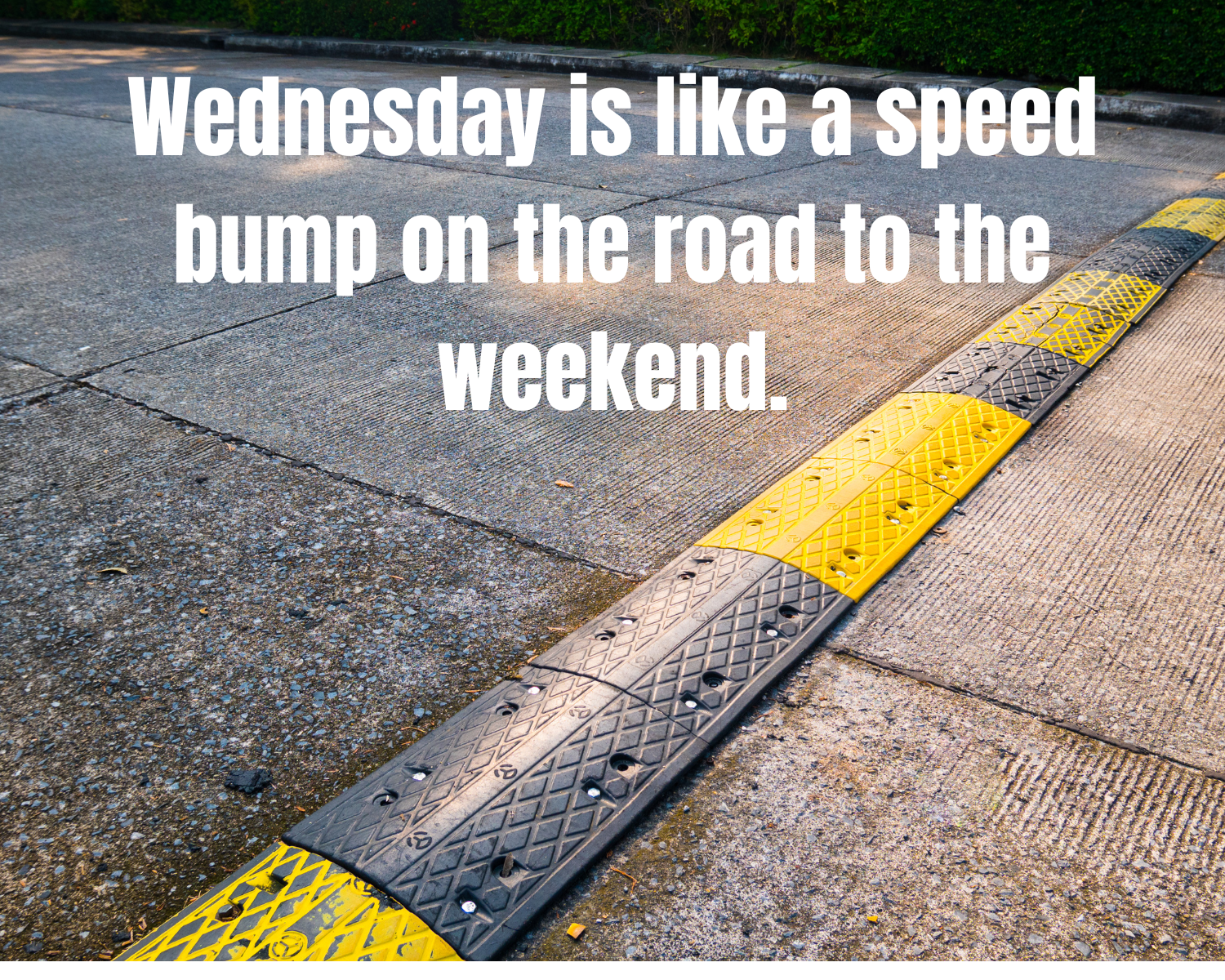 14 Best Wednesday Meme to Wash Away Your Midweek Blues