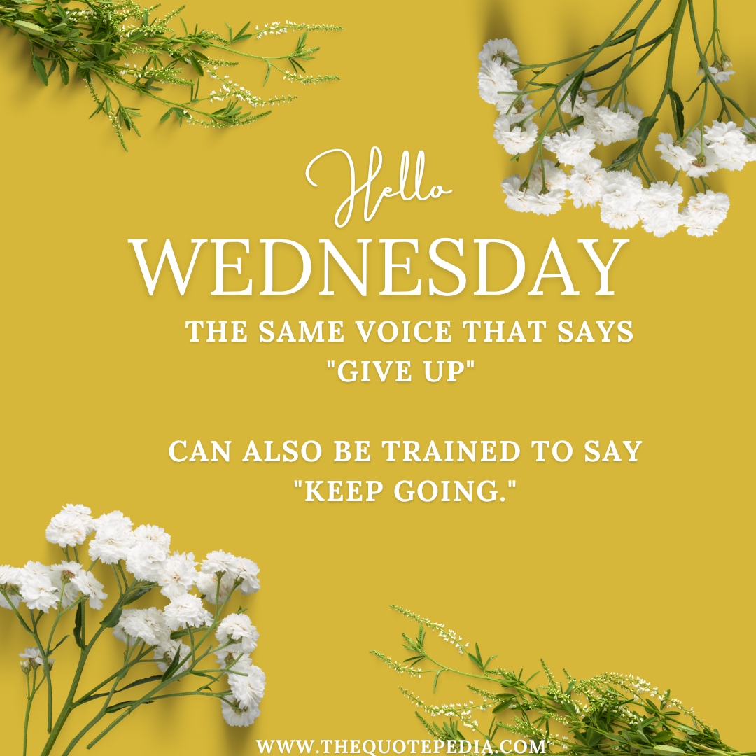Top 14 Wednesday Quotes to Keep You Motivated on Hump Day